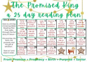 Christmas: 25 Days of Kindness & Scripture Reading Plan - Shepherd to ...
